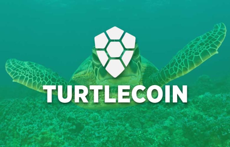 Wallets - Coin Guides