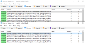 How to setup and use Electrum Multisig Wallet [Beginners Guide]