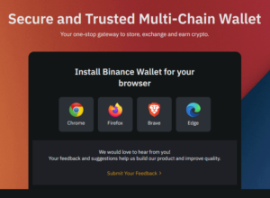 Binance coin (BNB) wallet - Setup & use BNB Smart Chain wallet