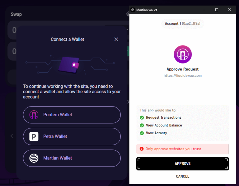Aptos Wallet - Setup Martian and Petra wallet for Aptos blockchain